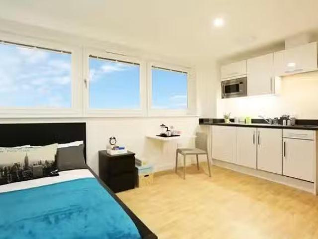 Rental! 1 BR Lower Floor Premier Studio