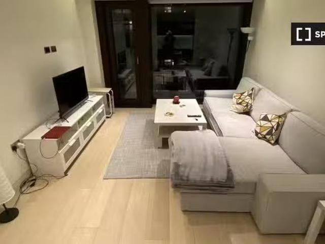 Cheap 1 BR 1 bedroom apartment for rent in Bassishaw, London
