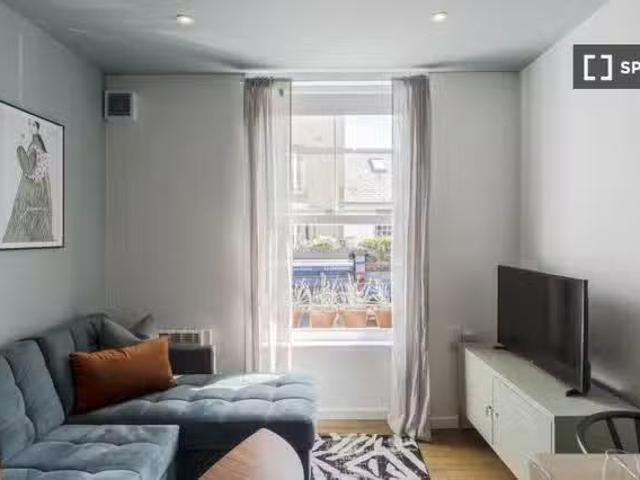 Charming 1 BR 1 bedroom apartment for rent in London Fields, L.