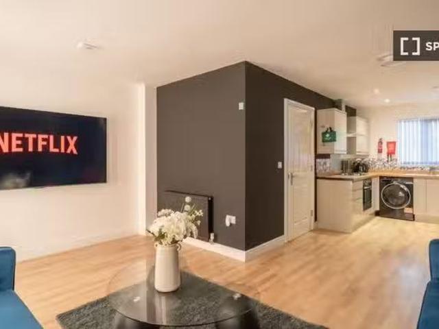 Cozy 1 BR 3 bedroom apartment for rent in Clifford, Manchester