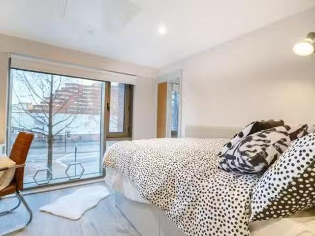 For Rent! 1 Room Cosmos Sheffield 8 Bed En Suite