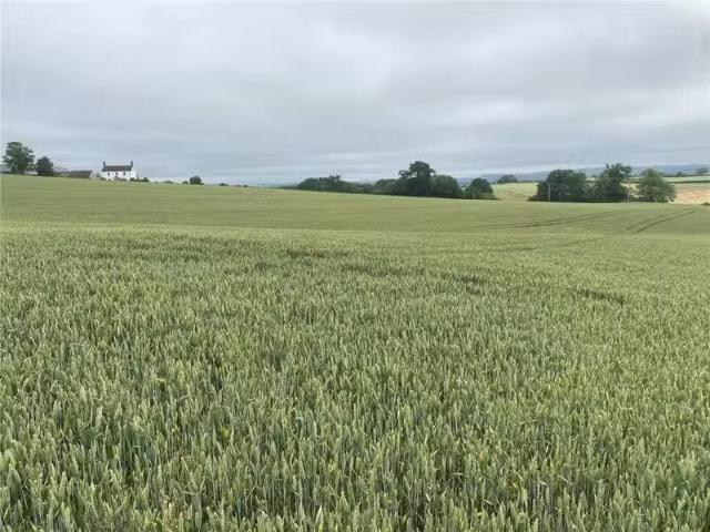 Cheap Land for rent in Stone Farm, Yeovil, BA21