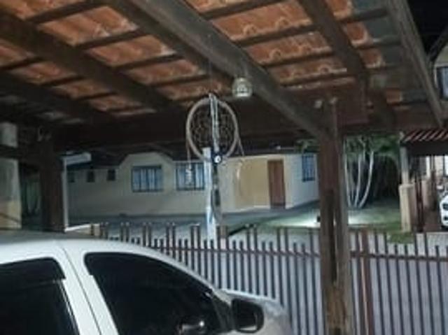 cheche para caes e gatos diaria 150