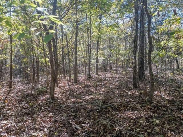 Cheetowaga Cir, Cherokee Village, AR 72529