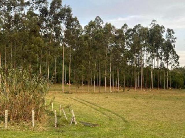 Chega de vizinho colado na sua janela! Garanta 1.000m² de pura privacidade no Residencial Sabiá