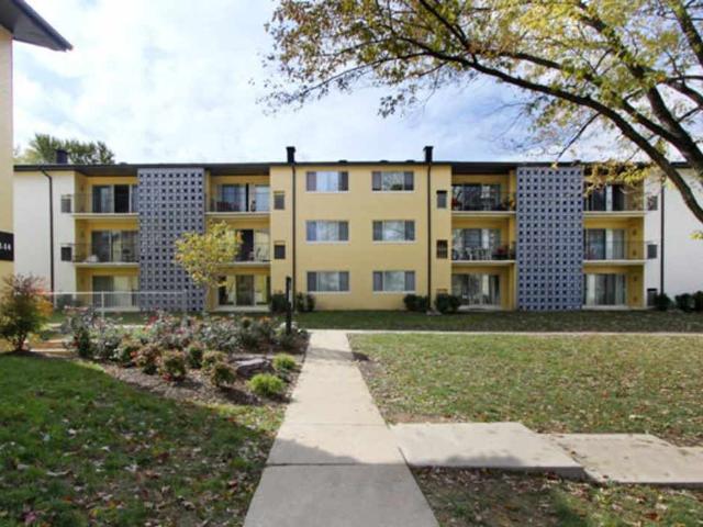 CHELSEA PARK