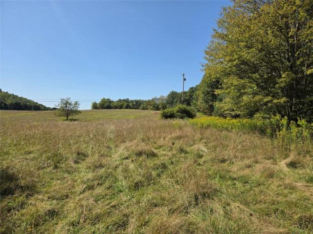 Chenango Forks NY 13746 101252188