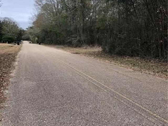 Chenel St Lot 1, Folsom, LA 70437