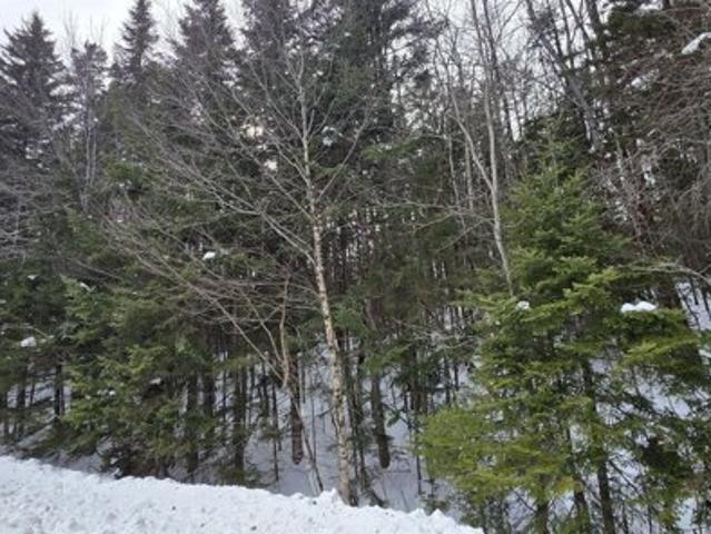 Cheney Brook Loop Lot,dover, Plot For Sale