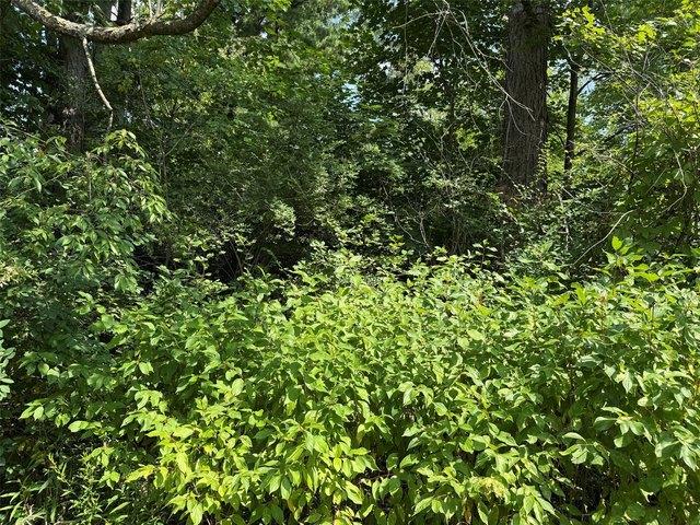 Cherokee Trl Lot 124, Espyville, PA 16424