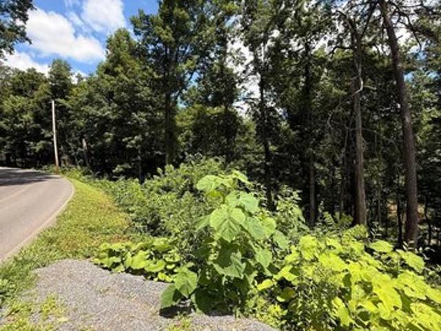 Cherokee Dr Lot 11, Dandridge, TN 37725