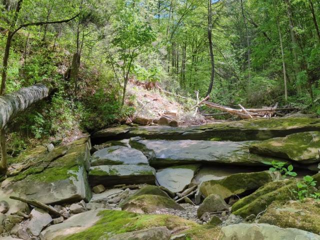 Cherokee Path, Jamestown, TN 38556