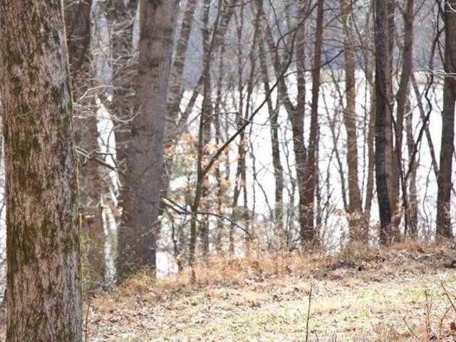 Cherokee Rd Lots 26 & 27, Lucas, KY 42156