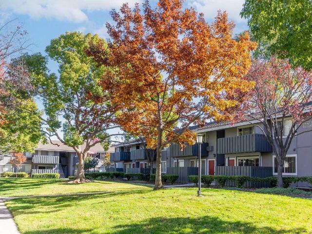Cherrywood Apartments 2 Bedroom Apartment for Rent at 4951 Cherry Avenue, San Jose, CA 95118 Muir
