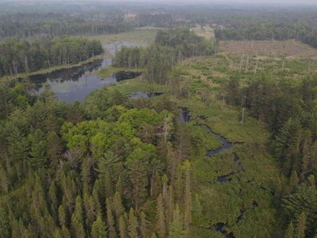Cherry Creek Trl Parcel B, Grayling, MI 49738