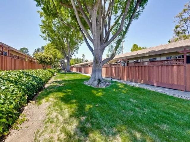 Cherry Blossom 1 Bedroom Apartment for Rent at 924 Mangrove Ave, Sunnyvale, CA 94086 Ponderosa Park