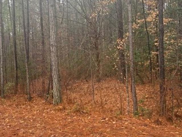 Cherry Hill Rd, McKenney, VA 23872