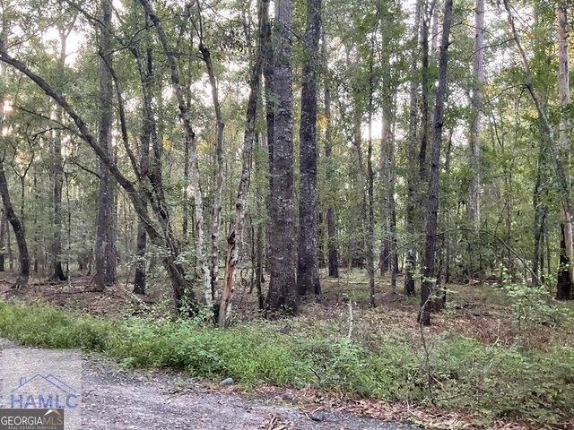 Cherry Ln, Hinesville, GA 31313