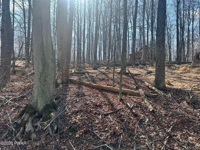 Cherry Ln Lot 86, Greentown, PA 18426