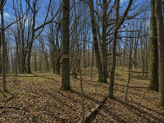 Cherry Ln Lot 967, Farwell, MI 48622