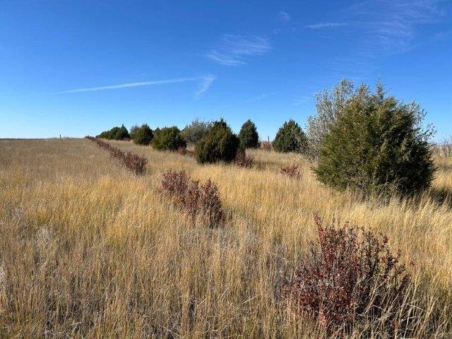 Cherry Rd, Hemingford, NE 69348