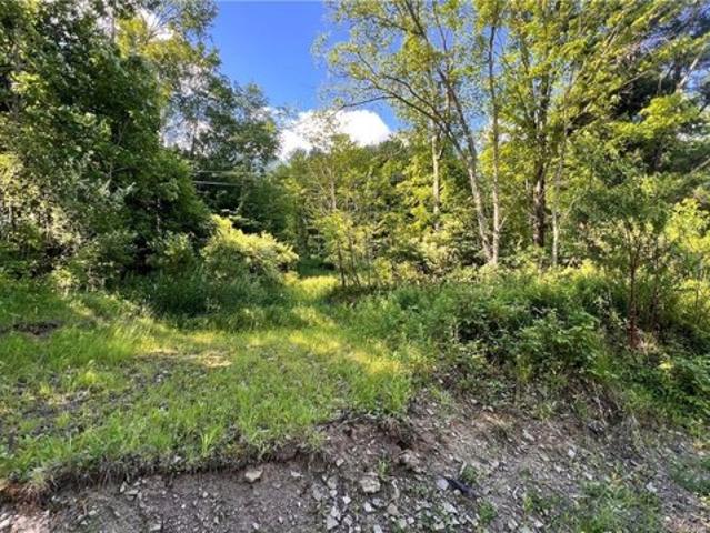 Cherry Valley Rd, Allegany, Plot For Sale