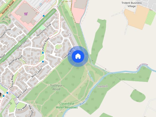Chervil Walk,Thetford,IP24