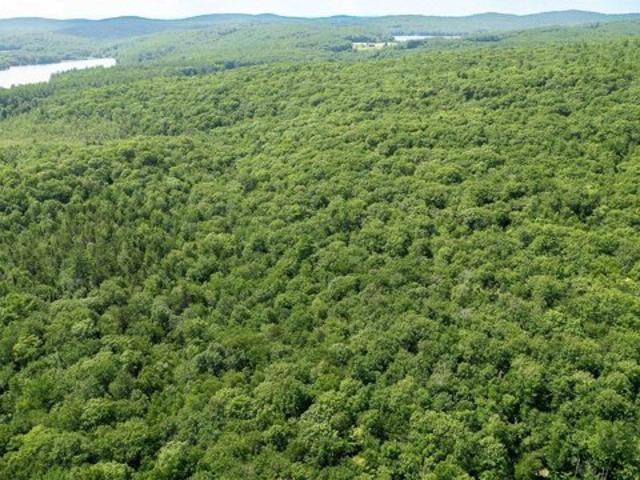 Chesham Rd Lot,harrisville, Plot For Sale