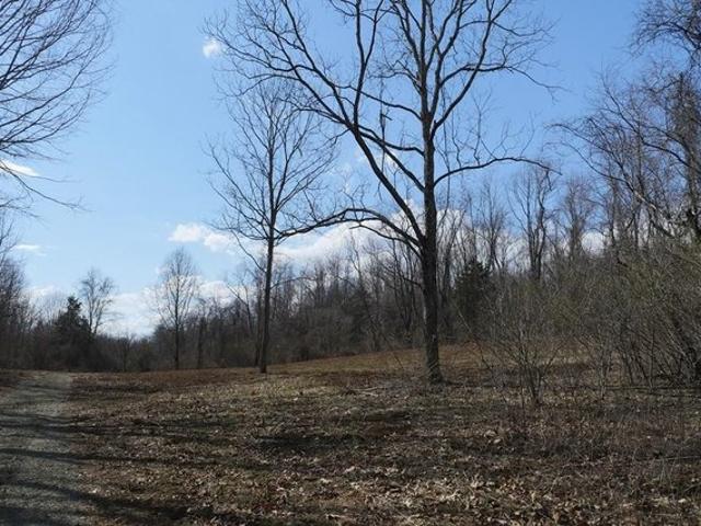 Chestnut Tower Ln Lot 0, Max Meadows, VA 24360