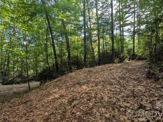 Chestnut Walk Pl Units, Waynesville, Plot For Sale