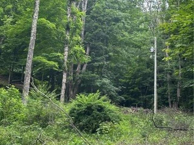 Chestnut Grove Rd, Boone, NC 28607