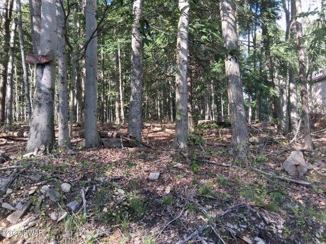 Chestnut Hill Dr Lot,lake Ariel, Plot For Sale