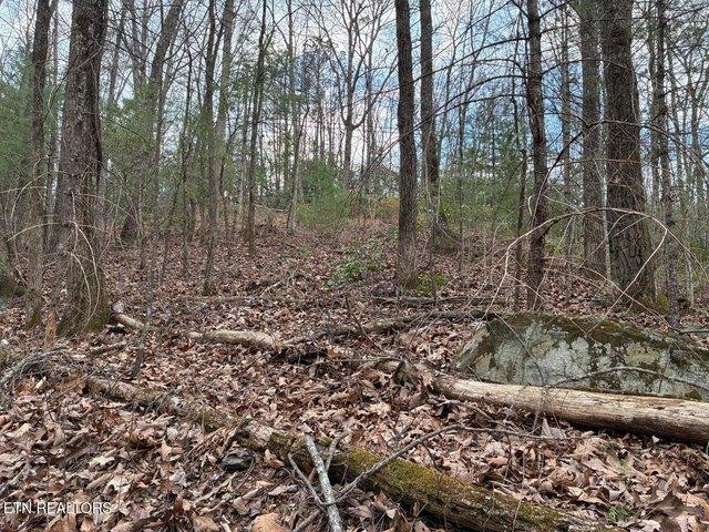 Chestnut Mountain Rd, Reliance, TN 37369