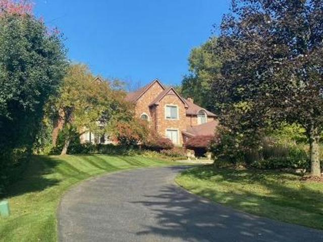 Chestnut Run Dr