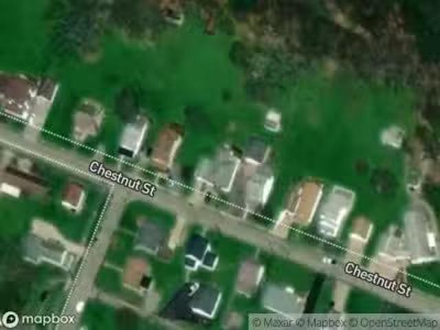 Chestnut St