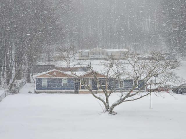 Chestnut St
