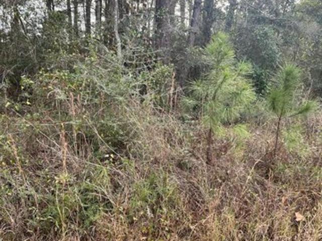 Chestnut St, Pass Christian, MS 39571