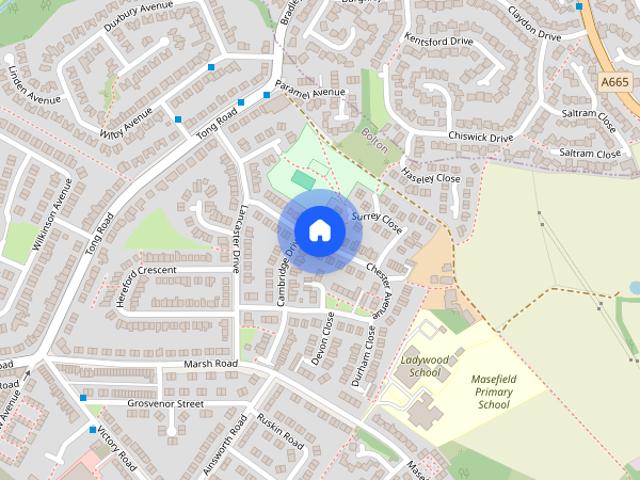 Chester Avenue, Little Lever