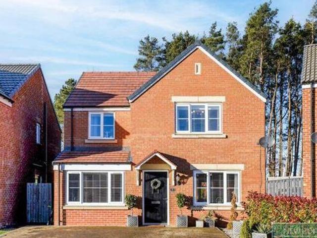 Chester Burn Road, Wynyard, 4 Bedroom Detached