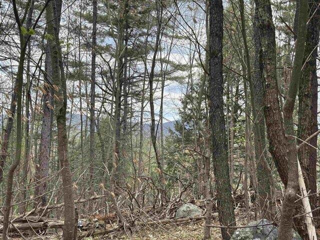 Chester VT 05143 102157318