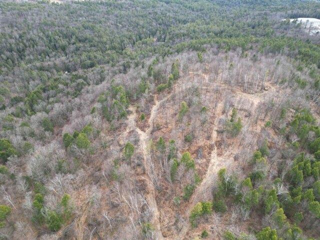 Chesterfield NH 03466 LS102156389