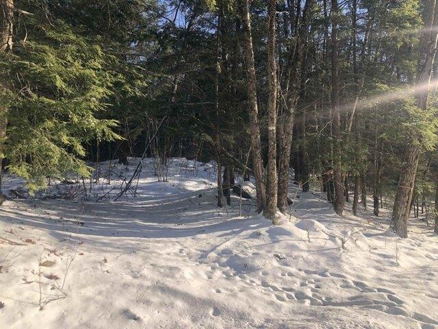 Chesterfield Rd, Keene, Plot For Sale