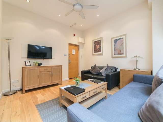 Chic 1 bedroom apartment to rent in City of London