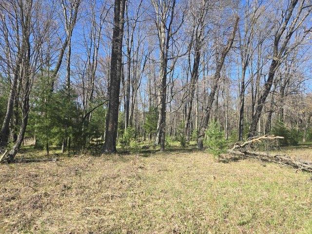 Chicago Ave, Arkdale, WI 54613