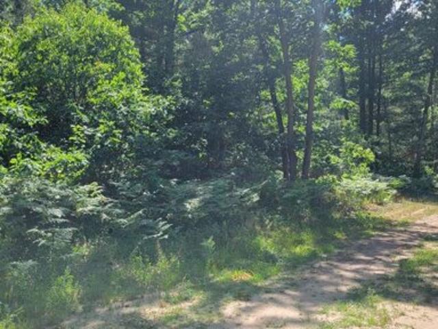 Chicago Ave, Idlewild, Plot For Sale