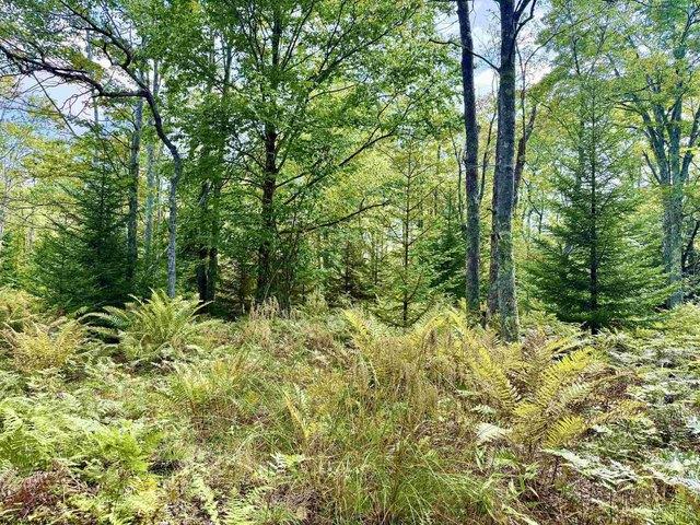 Chickadee Dr Lot 9, Davis, WV 26260