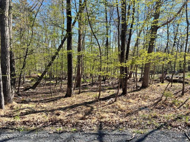 Chickadee Way 6 Way, East Stroudsburg, PA 18302