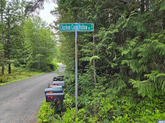 Chicken Coop Hollow Rd, Sequim, WA 98382