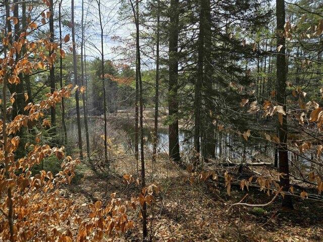 Chickville Rd, Ossipee, Plot For Sale