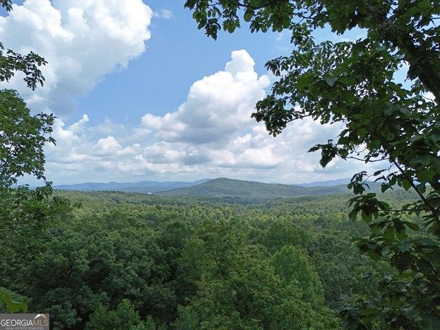 Chicory Dr W Lot 71, Blairsville, GA 30512